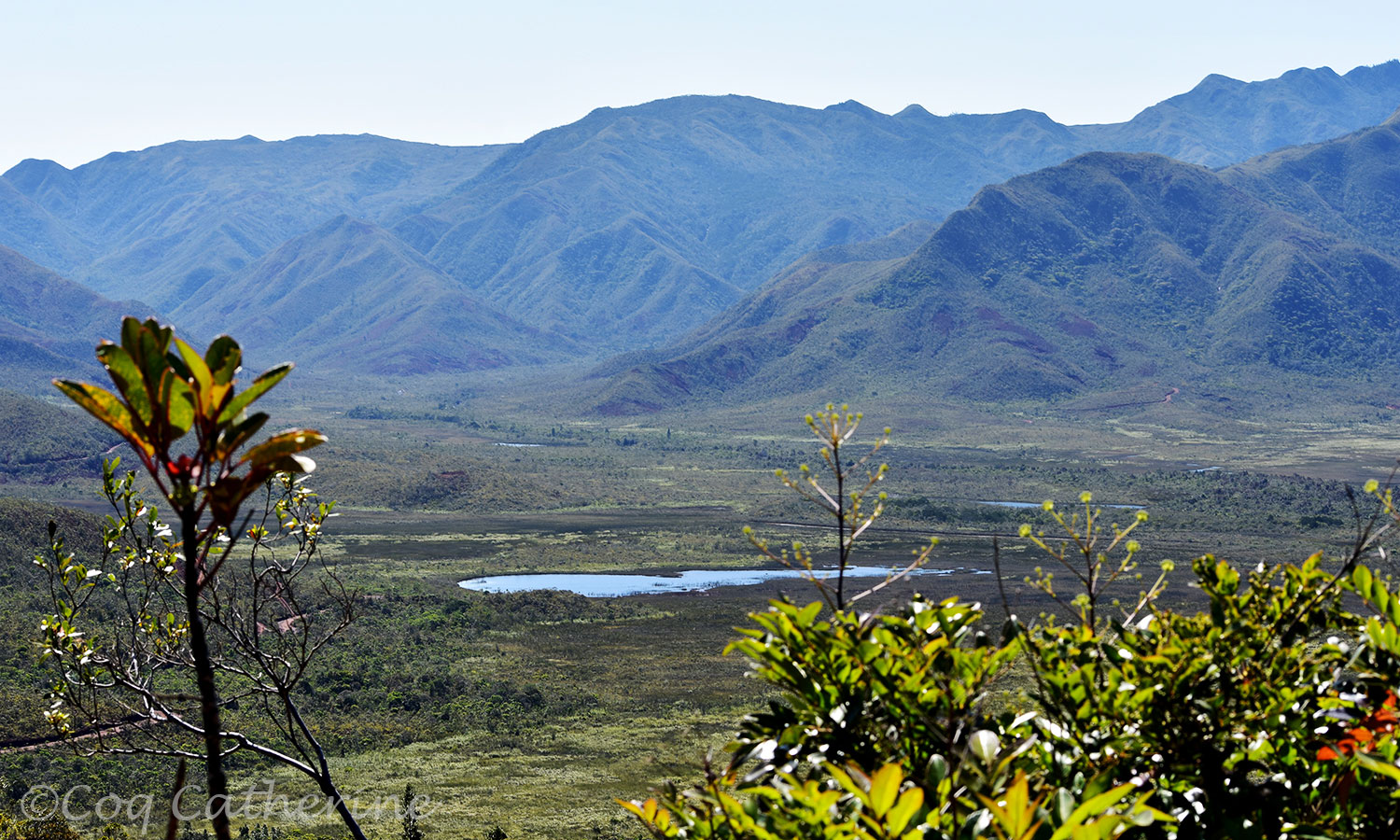 NOUVELLE CALÉDONIE – Parc de la rivière Bleue