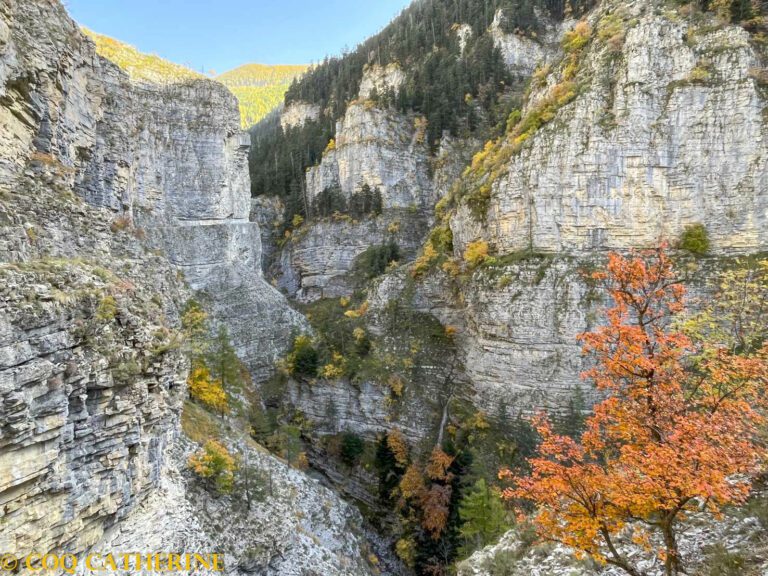 Les gorges de Saint-Pierre en randonnée
